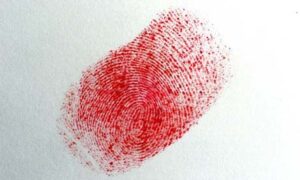 Theft Cases | Fingerprint Identification